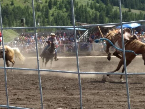 Meet the Berzowskis Summer Edition: Cascade Mountains - SylvanSport